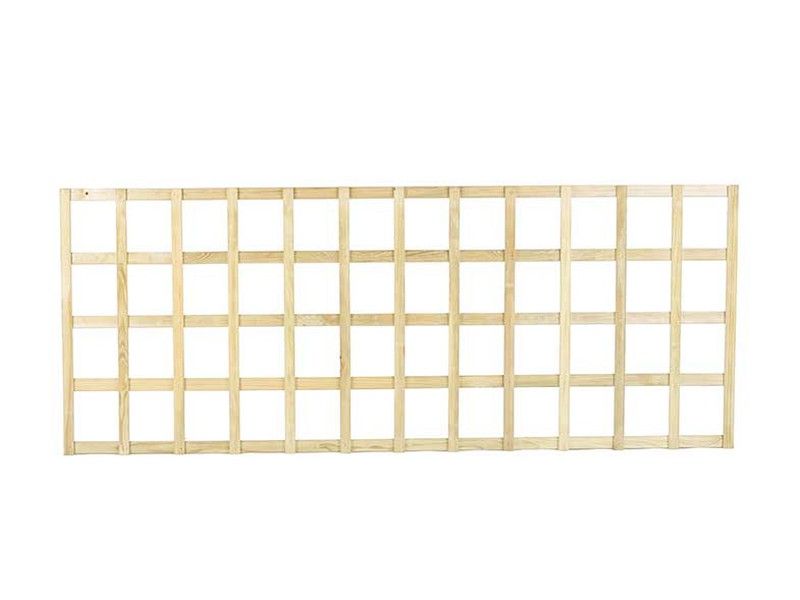 WINDOWNATURE Celosia cuadrada Catral — Azulejossola